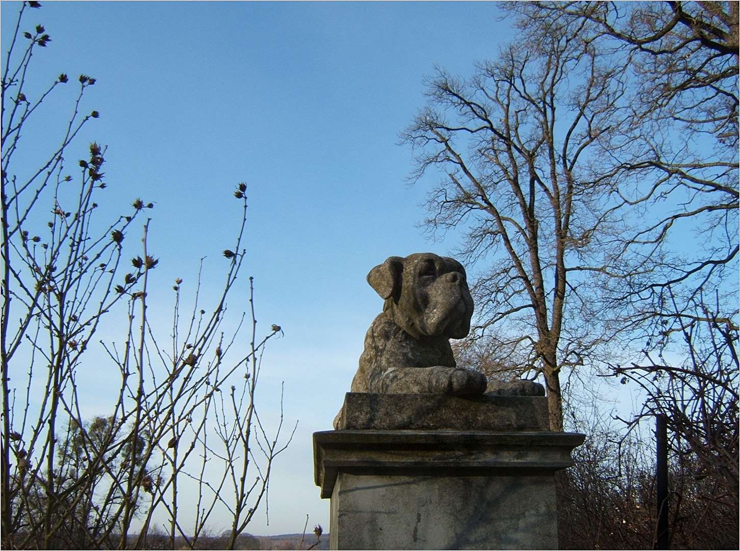 Wuff Foto & Bild | hund, schloss, potsdam Bilder auf fotocommunity