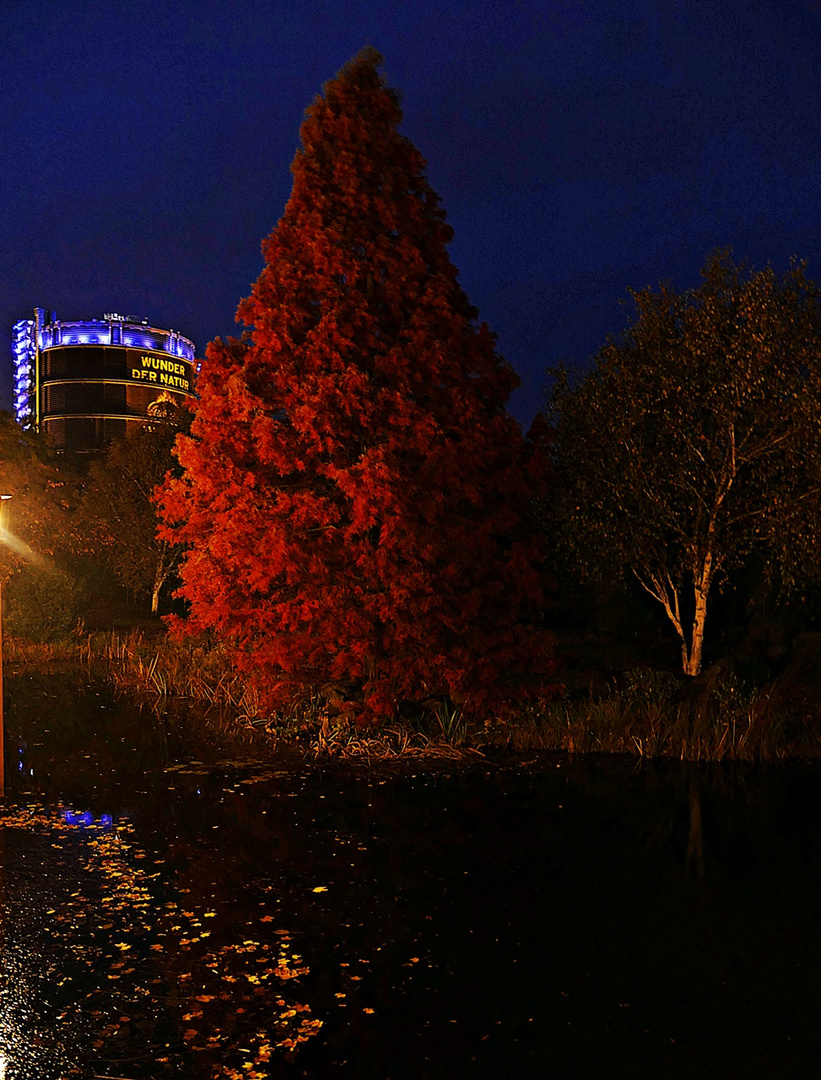 Wunder der Natur! Foto & Bild | nrw, deutschland, gasometer Bilder auf ...