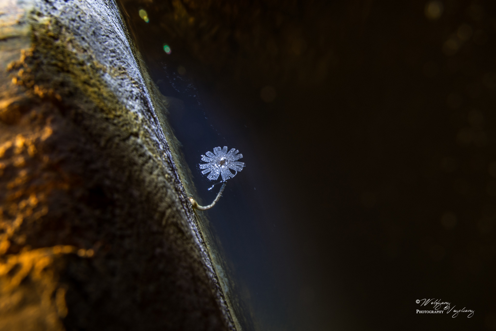 Wunder der Natur Foto & Bild | world, natur, bergbau Bilder auf ...