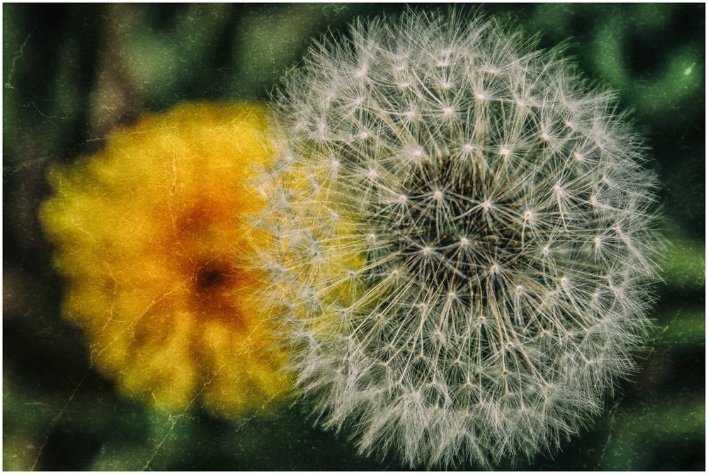 Wunder der Natur Foto & Bild | art, world, spezial Bilder auf fotocommunity