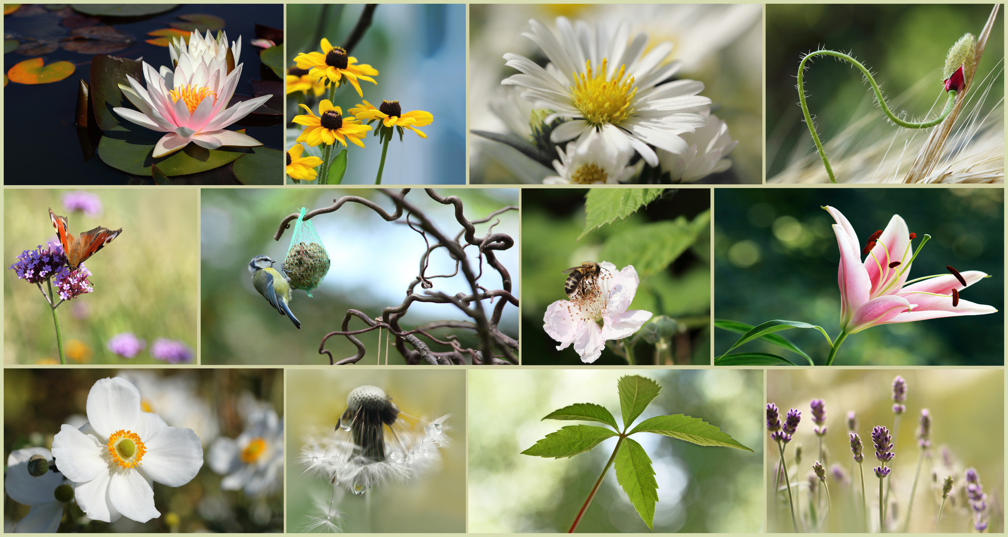 Wunder der Natur Foto & Bild | natur-kreativ, aufnahmetechniken, natur ...