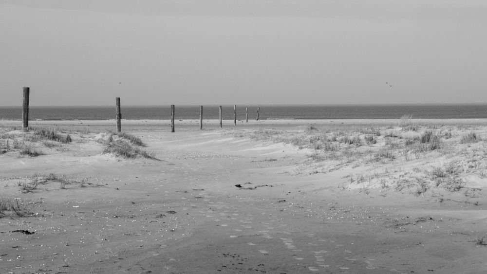 Wunderbare Weite Foto & Bild | landschaft, meer & strand, dünen Bilder ...
