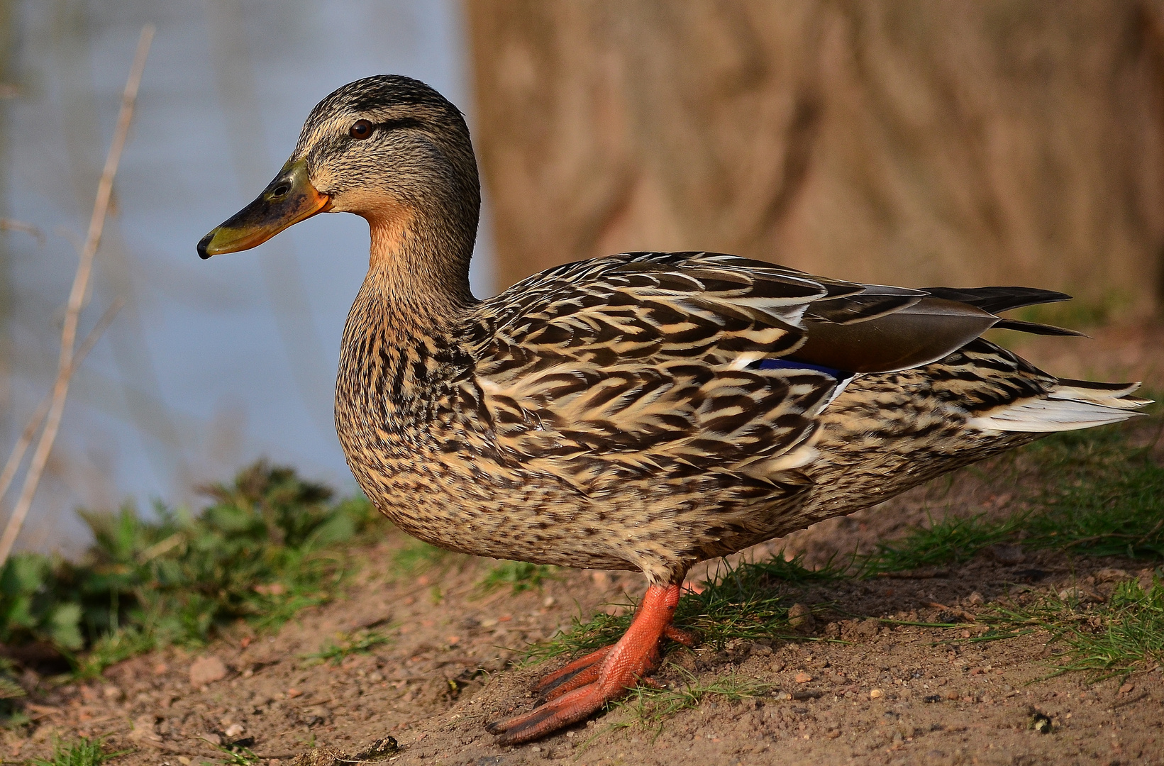 Wunderschön ..... Foto & Bild | der foto ordner 2016, natur, see Bilder ...