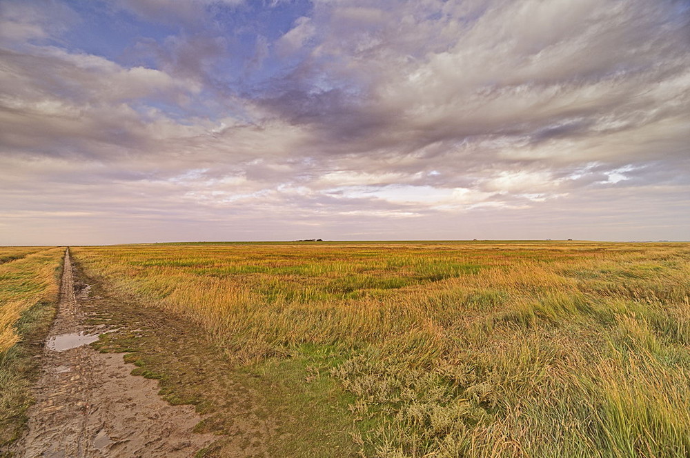 wunderschönes Marschland Foto & Bild | landschaft, meer & strand, haff ...