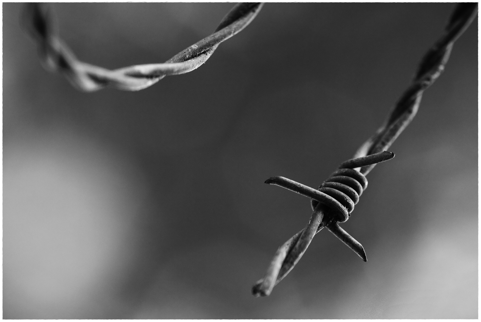 ---x- Foto & Bild | spezial, dokumentation, europa Bilder auf fotocommunity