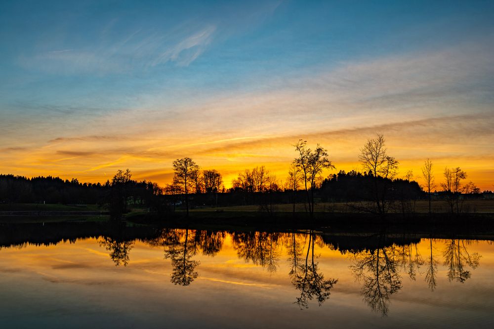 Yellow Water Foto & Bild | deutschland, europe, baden- württemberg ...