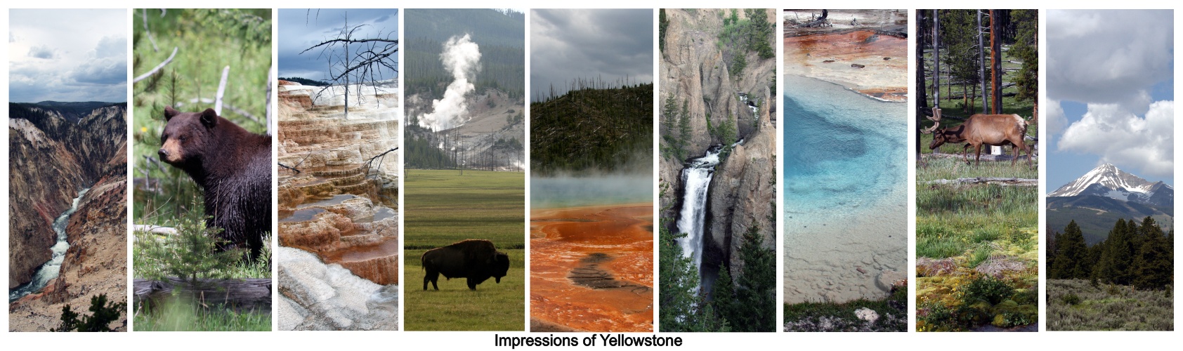 Yellowstone vertical Foto & Bild | natur-panorama, natur-kreativ ...