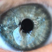 Yeppie - Fotos & Bilder - Fotograf aus Dormagen, Deutschland ...