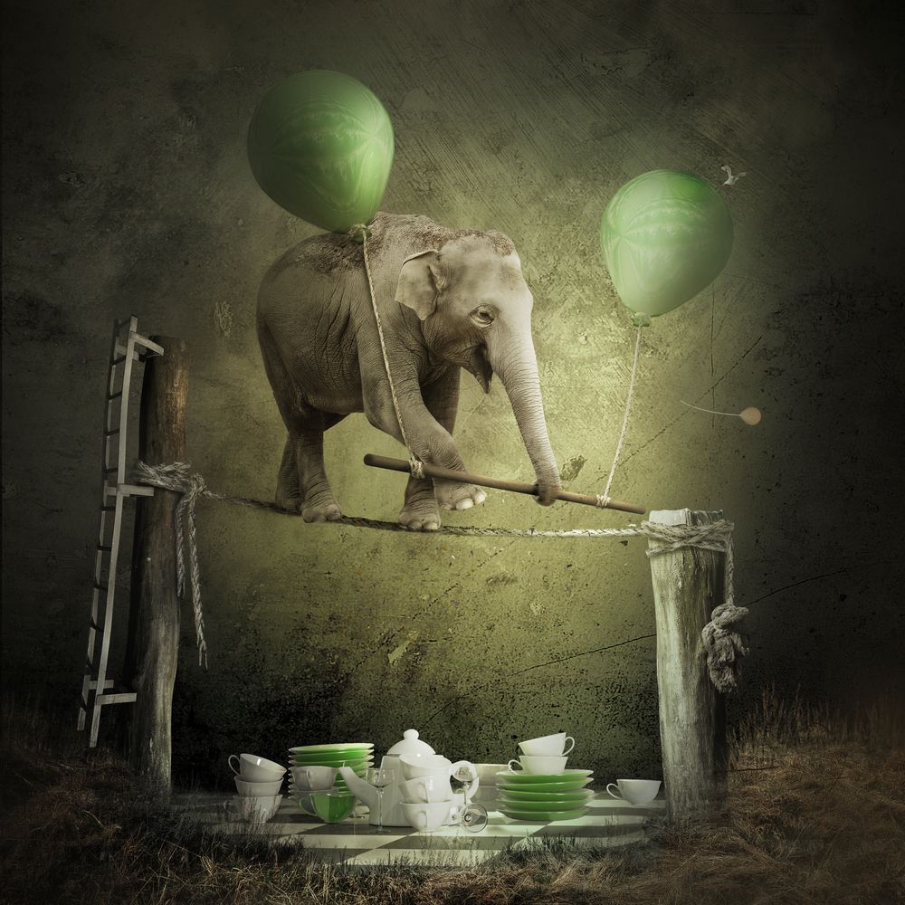 Yes, he can ! Foto & Bild | surreal, digiart, fotomontage Bilder auf fotocommunity