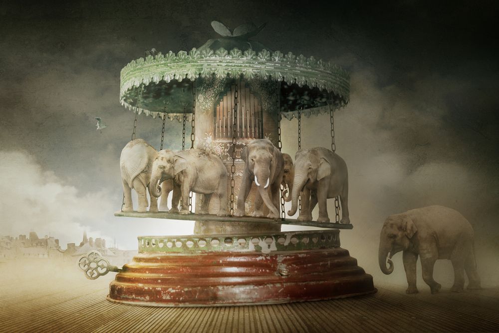 Yippee...! Foto & Bild | fotomontage, surreal, fun Bilder auf fotocommunity