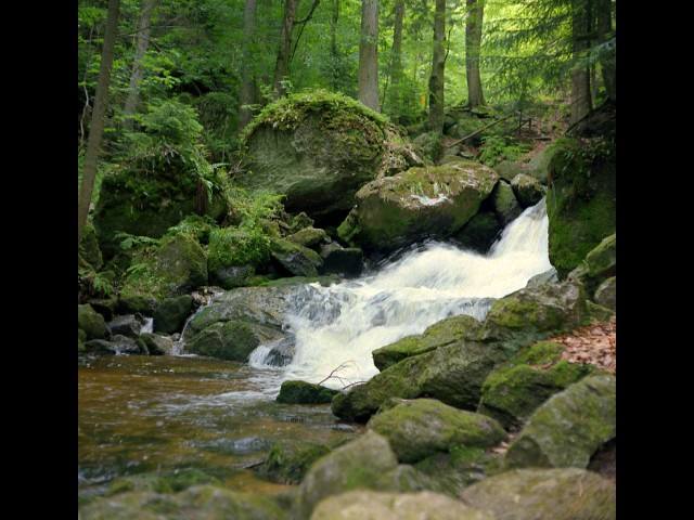 Ysperklamm Foto & Bild | natur, landschaft, fluss Bilder auf fotocommunity