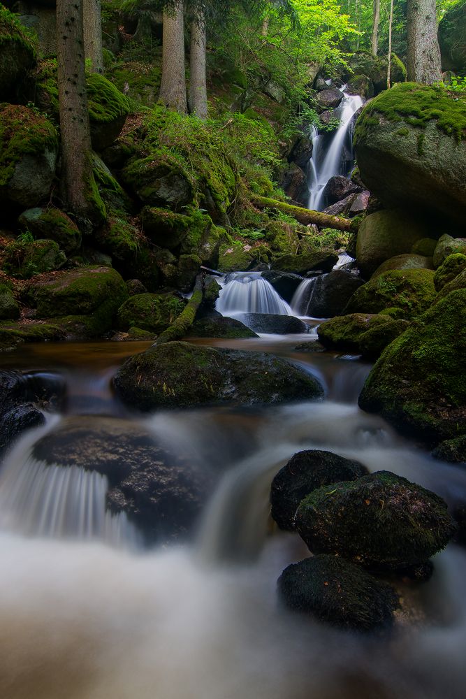 Ysperklamm Foto & Bild | wald, wasser, natur Bilder auf fotocommunity