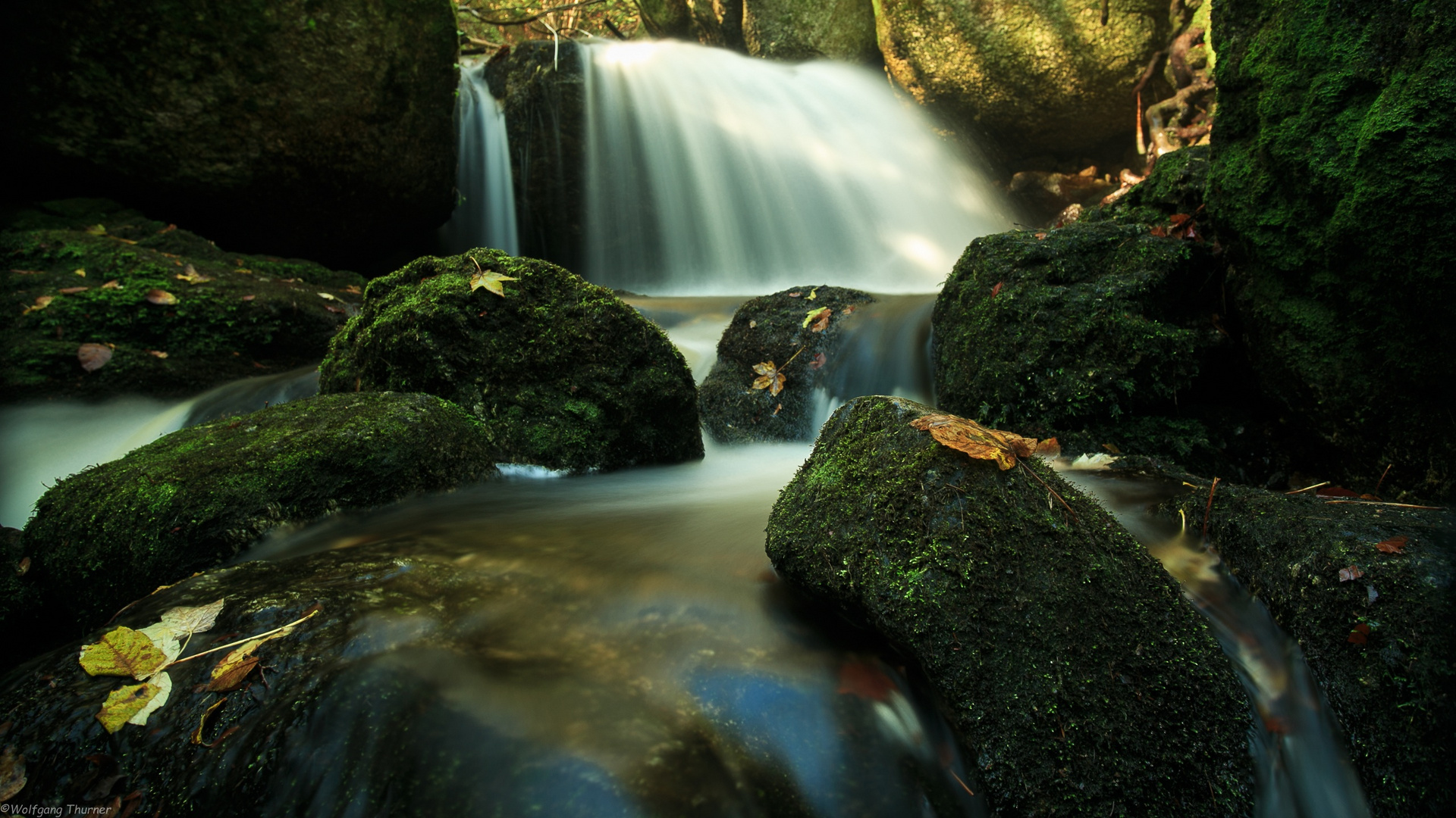 Ysperklamm Foto & Bild | wald, landschaften, natur Bilder auf fotocommunity