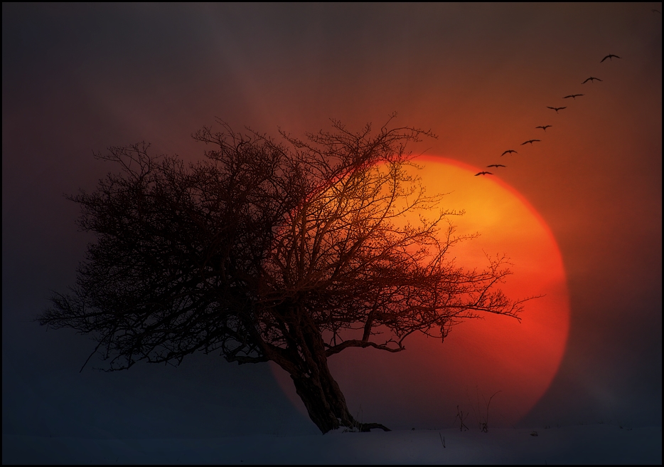 yyy Foto & Bild | fotomontage, landschaften, voting.... Bilder auf fotocommunity