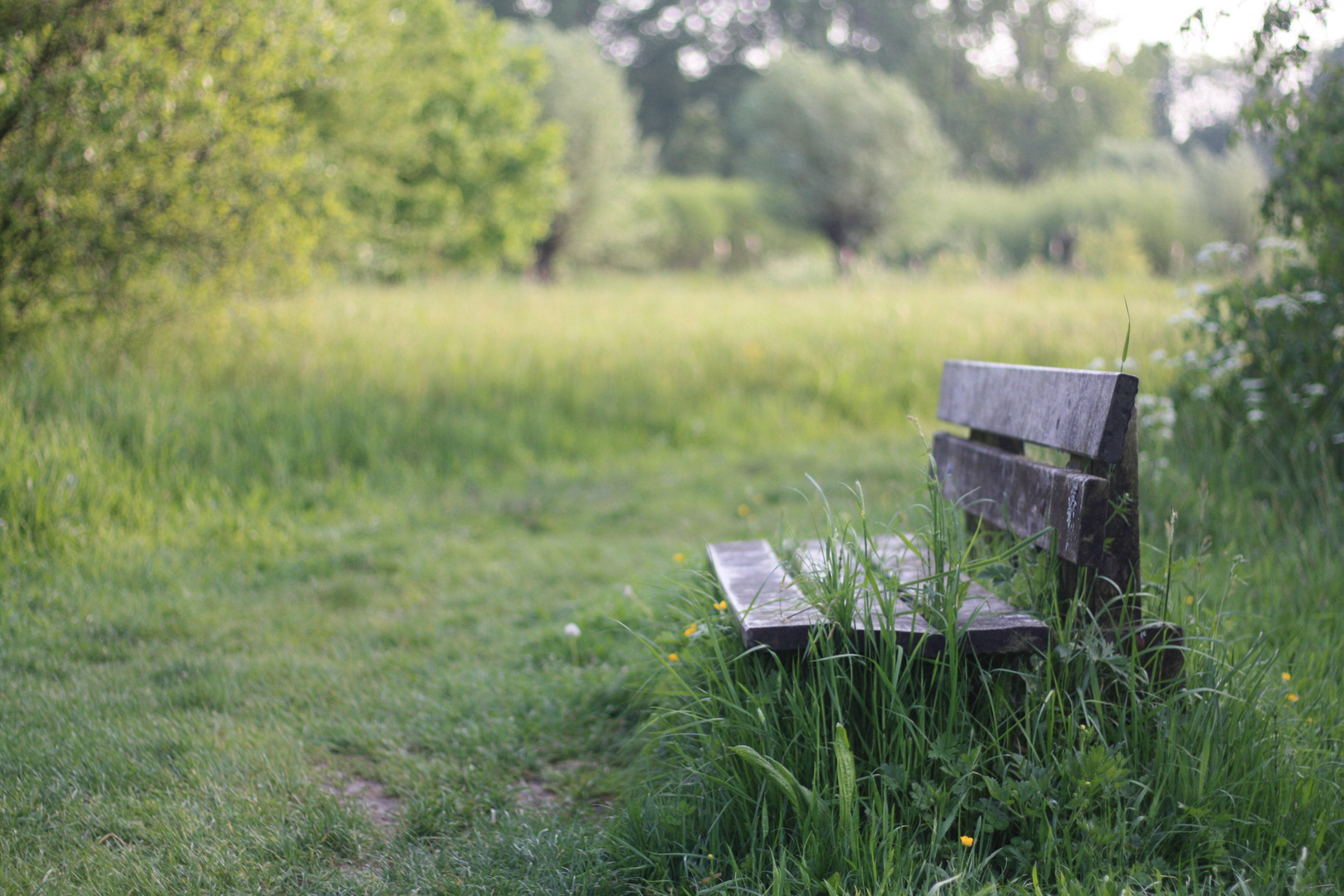 Zadok Allen's park bench Foto & Bild | landschaft, garten ...