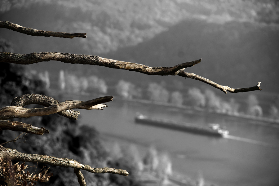 Zahn der Zeit Foto & Bild | landschaft, wald, sonstiges Bilder auf ...