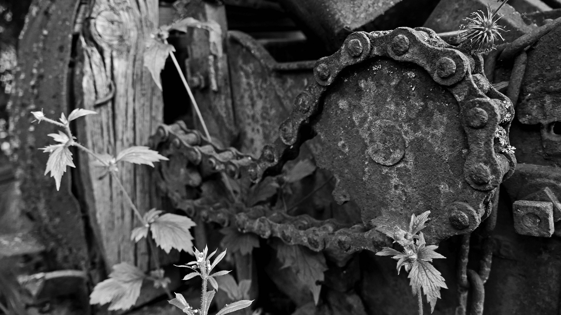 Zahn der Zeit Foto & Bild | architektur, industrie und technik, technik ...