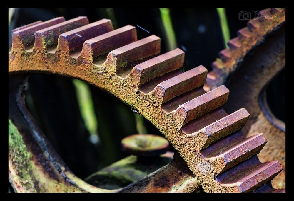 Zahn der Zeit Foto & Bild | world, frühling, rost Bilder auf fotocommunity