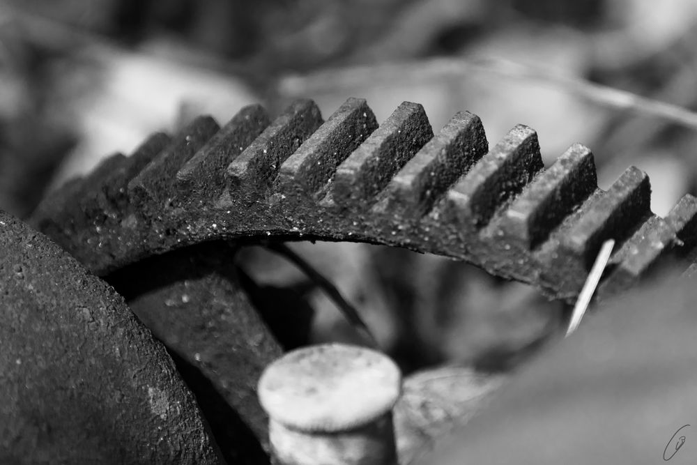 Zahn der Zeit Foto & Bild | park, outdoor, s-w Bilder auf fotocommunity