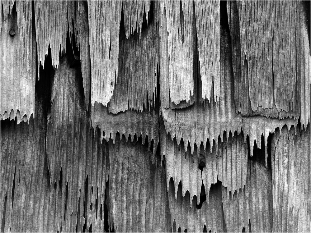 Zahn der zeit Foto & Bild | fotos, dokumentation, sw Bilder auf ...