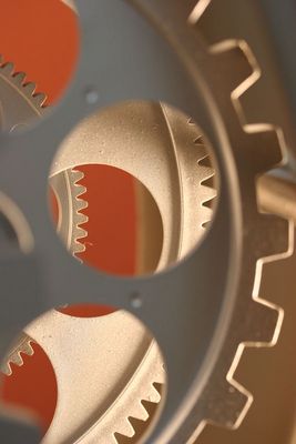 Ellen Rademacher - Fotos & Bilder - Fotografin aus Düsseldorf ...