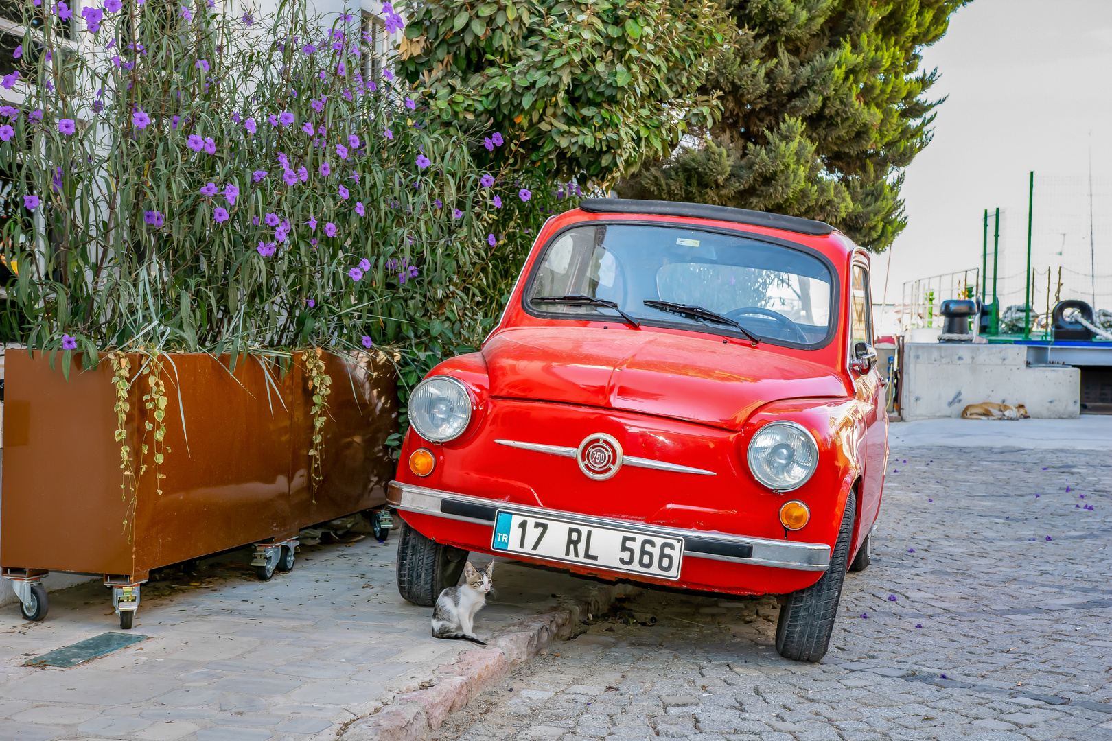 Zastava 750 (Fiat 600) Foto & Bild | oldtimer, motive, verkehr ...