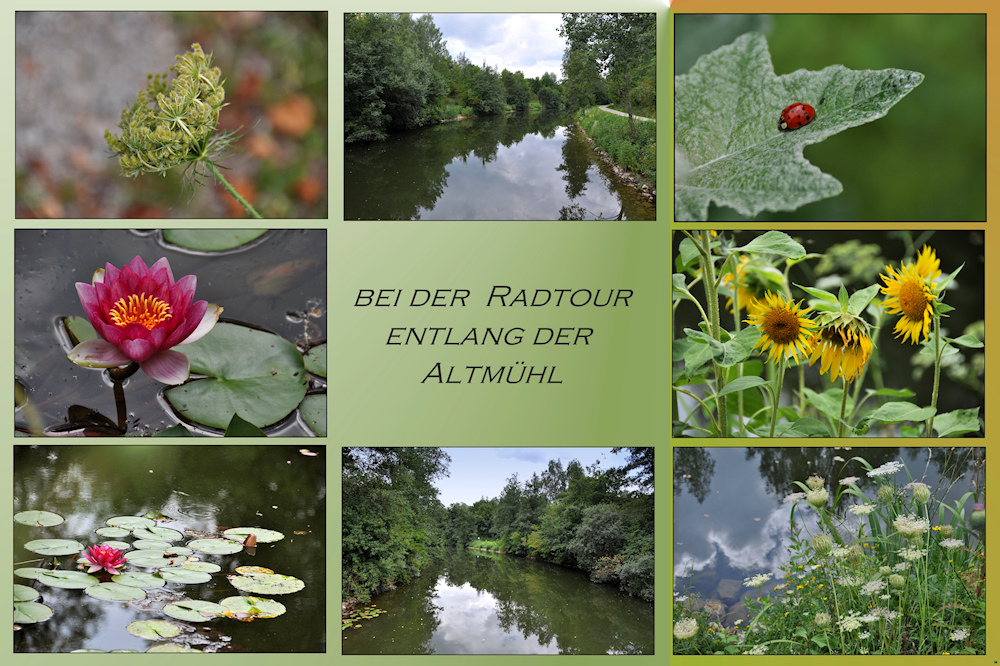 zauberhafte NATUR | Edith Vogel Fotografie