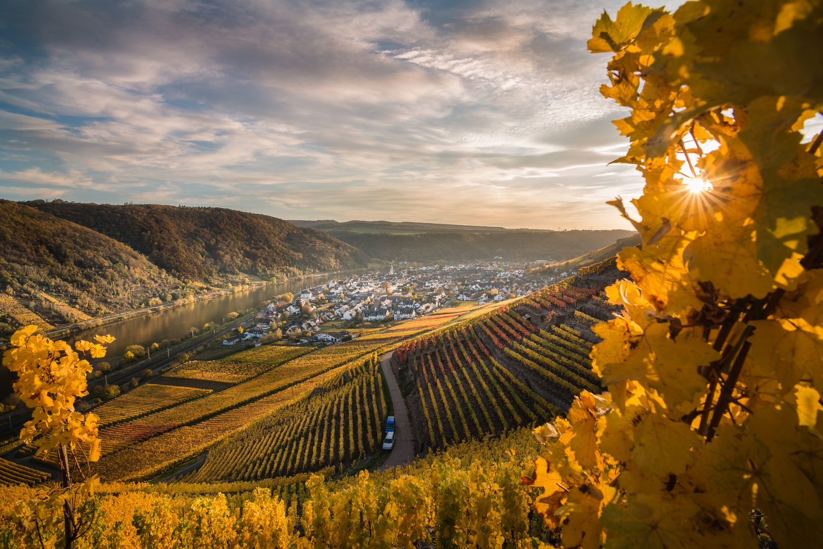 Zauberhafte Weinberge Foto & Bild | himmel, natur, herbst Bilder auf ...