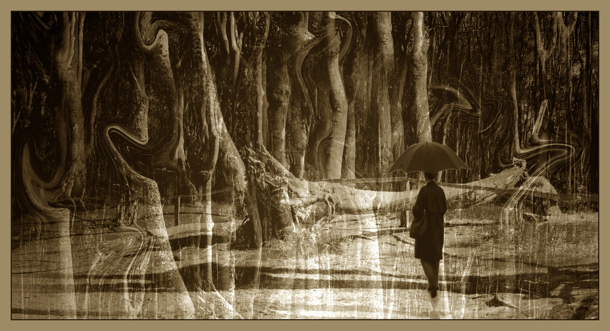 Zauberwald Foto & Bild | digiart, fotomontage, mystery Bilder auf fotocommunity