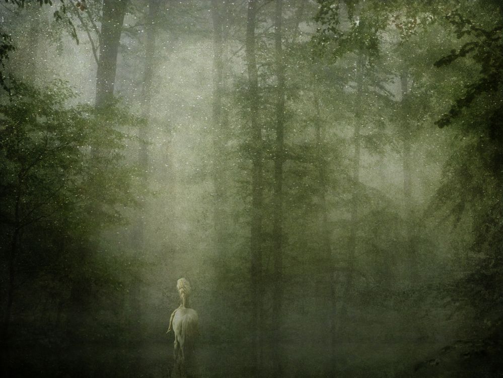 zauberwald Foto & Bild | fotokunst, fotomontage, fantasy mystery Bilder auf fotocommunity