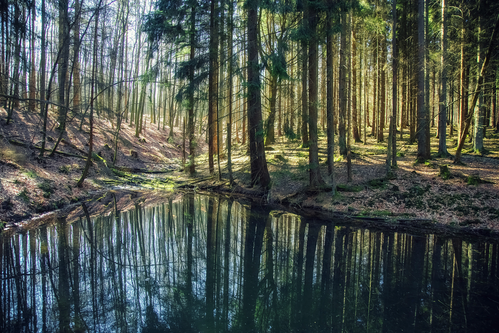 Zauberwald Foto & Bild | spezial, wald, wasser Bilder auf fotocommunity