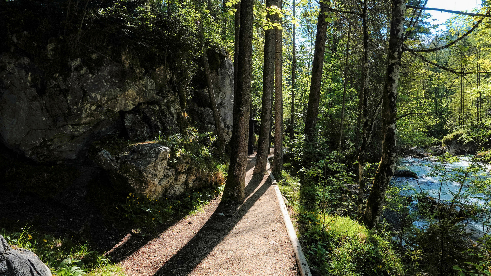 Zauberwald Foto & Bild | deutschland, europe, bayern Bilder auf ...