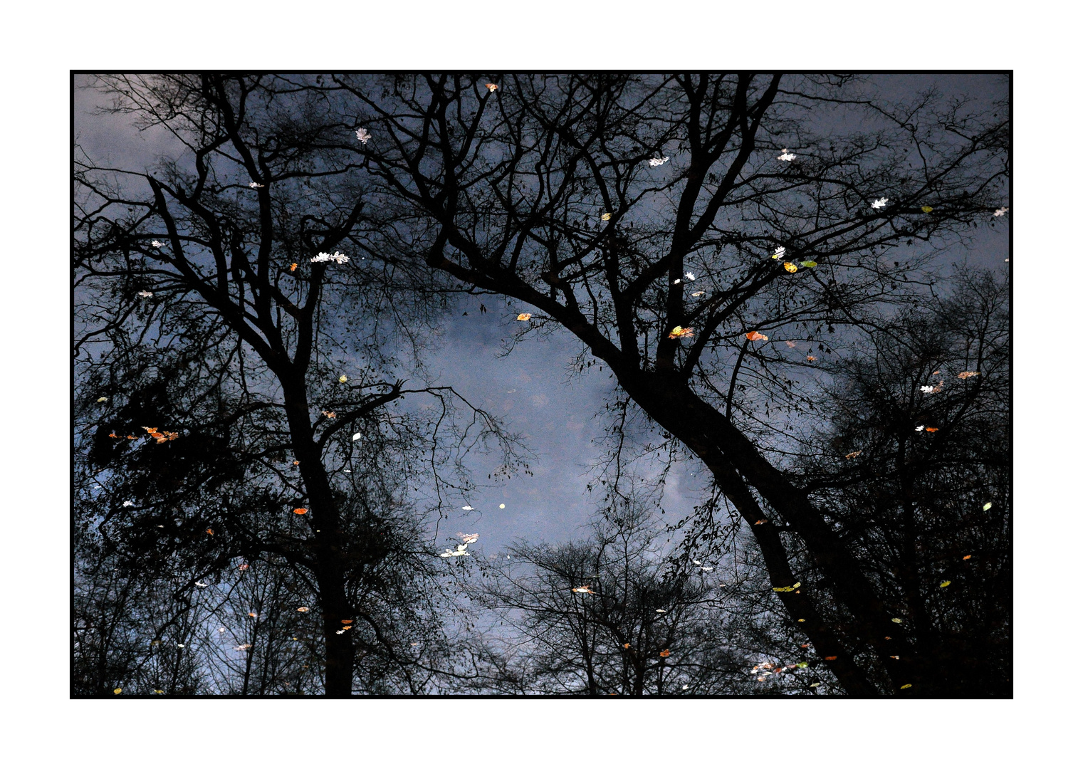 Zauberwald Foto & Bild | jahreszeiten, herbst, natur Bilder auf ...