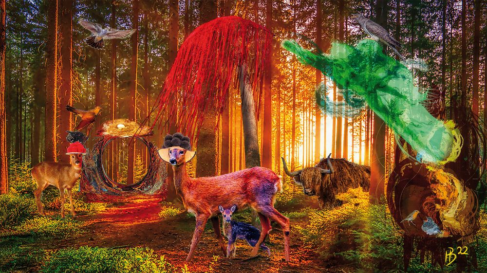 Zauberwald II Foto & Bild | fotomontage, bearbeitungs - techniken, composing Bilder auf ...