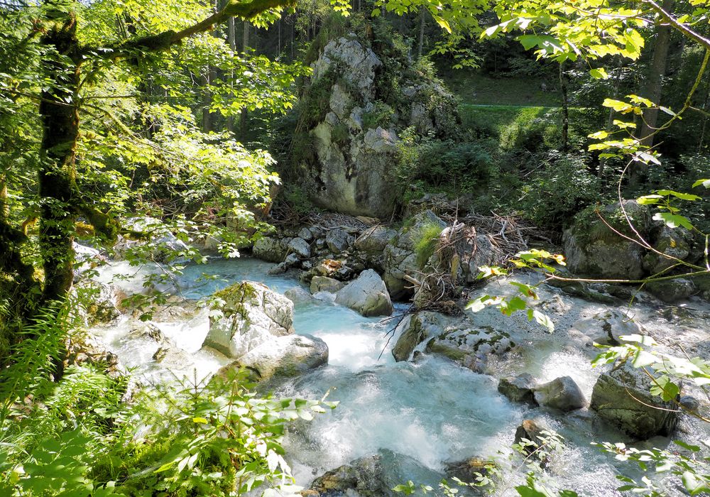 Zauberwald Ramsau Foto & Bild | bayern, deutschland, oberbayern Bilder auf fotocommunity
