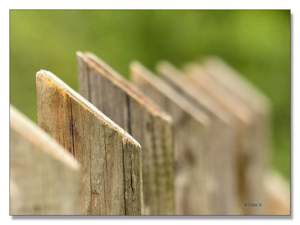 Zaun Foto & Bild | landschaft, zäune & co., zäune, bänke, wegweiser ...