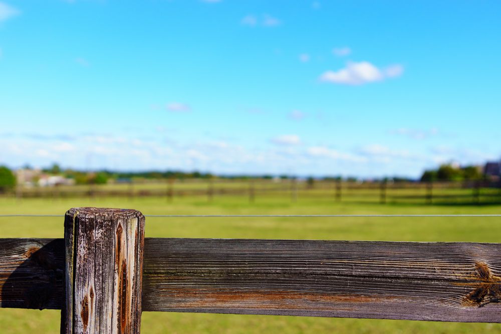 Zaun Foto & Bild | wald und natur, wiese, feld Bilder auf fotocommunity