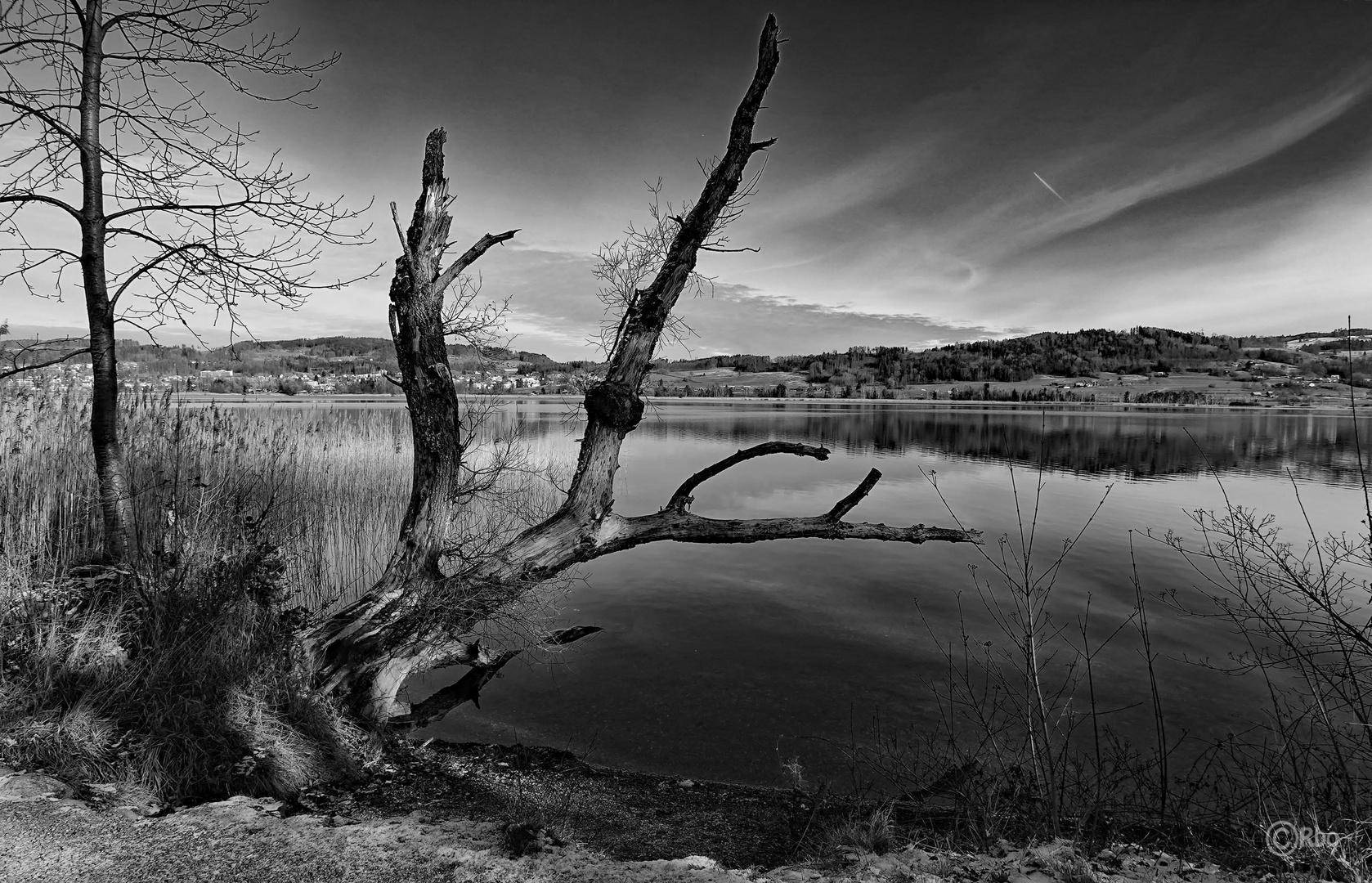 Zeichen der Zeit Foto & Bild | landschaft, jahreszeiten, winter Bilder ...
