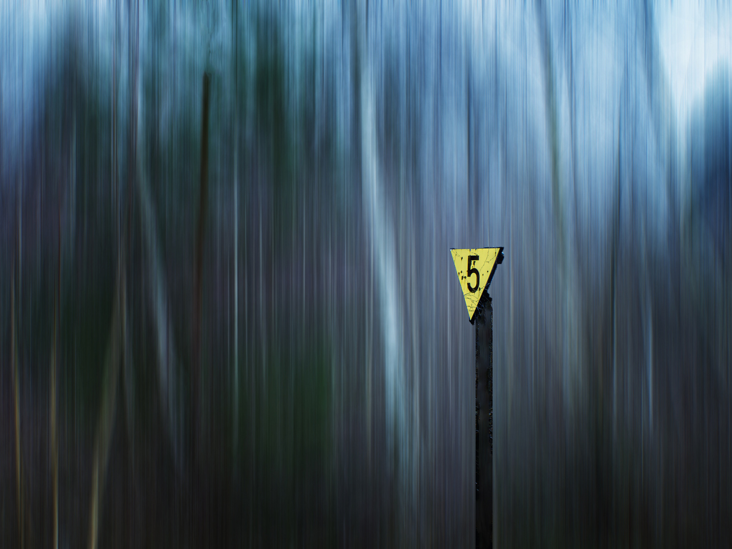 ZEICHEN IM WALD Foto & Bild | art, spezial, grafik Bilder auf fotocommunity