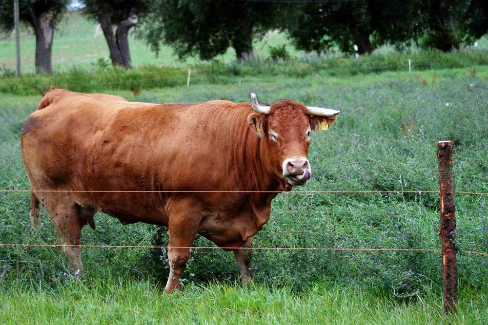 zeig mir mal die Fotoerlaubnis !! Foto & Bild | archiv projekte ...