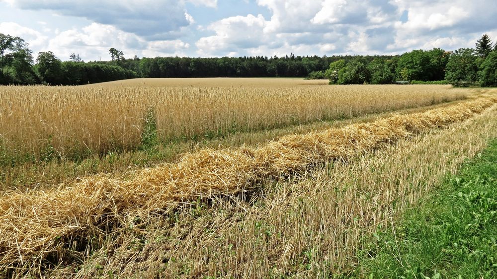 Zeit der Ernte Foto & Bild | landschaft, natur, jahreszeiten Bilder auf ...