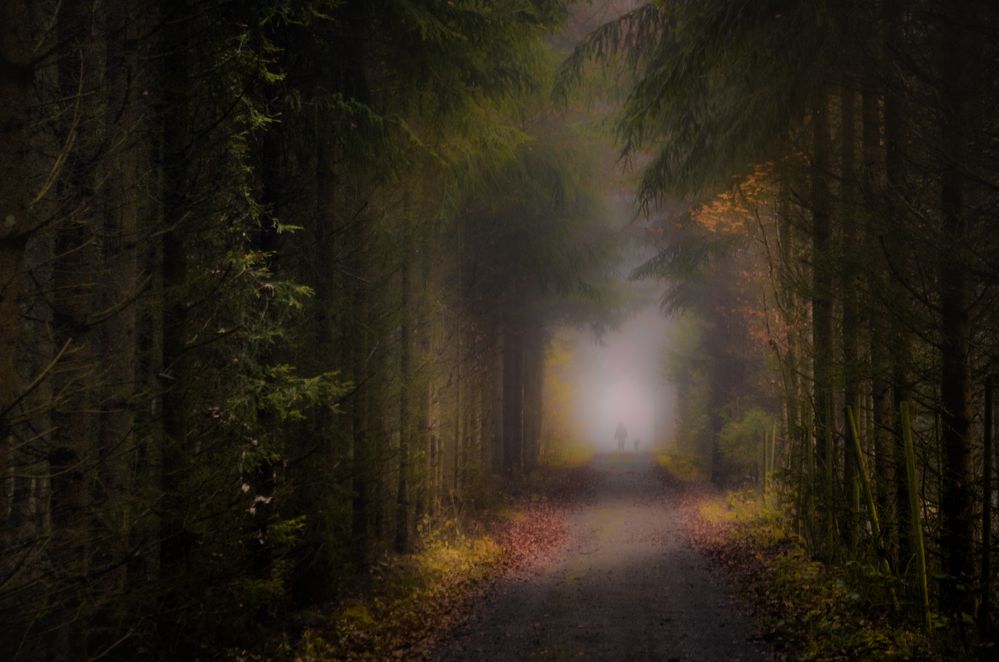 Zeit der Stille Foto & Bild | deutschland, europe, baden- württemberg ...