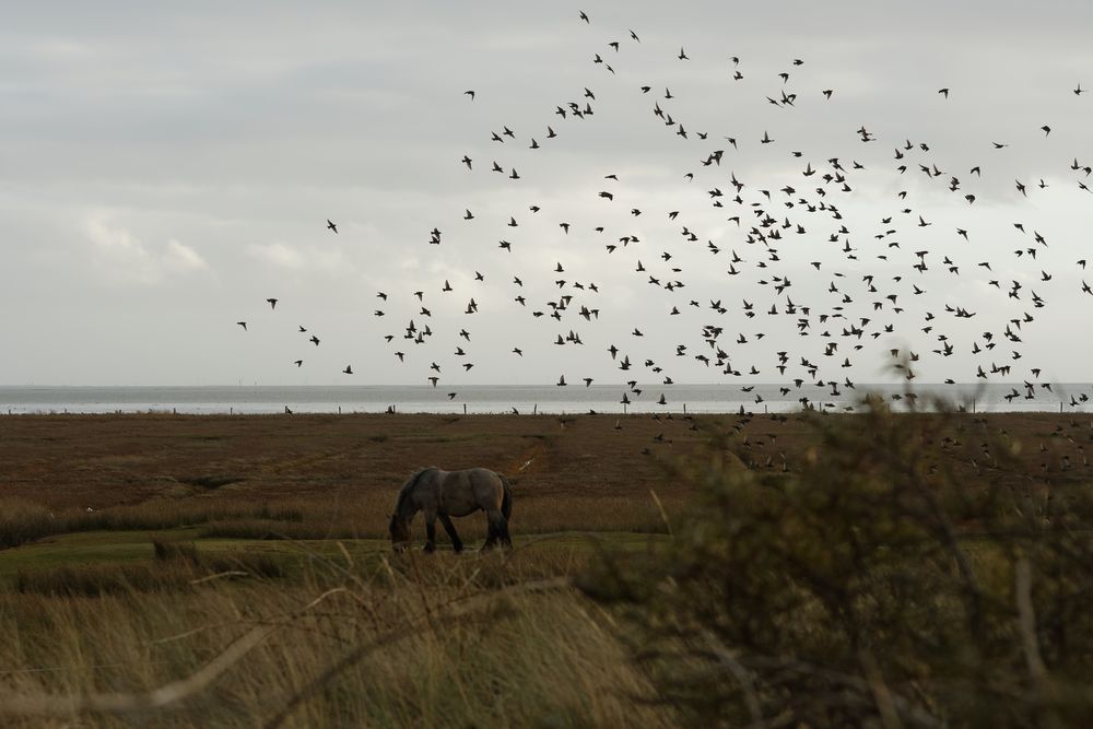 Zeit zur Abreise Foto & Bild | landschaft, jahreszeiten, lebensräume ...