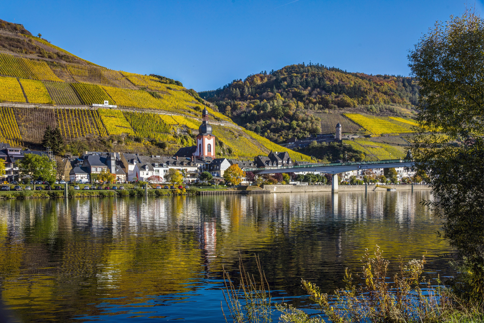 Zell Mosel Foto & Bild | world, wasser, natur Bilder auf fotocommunity