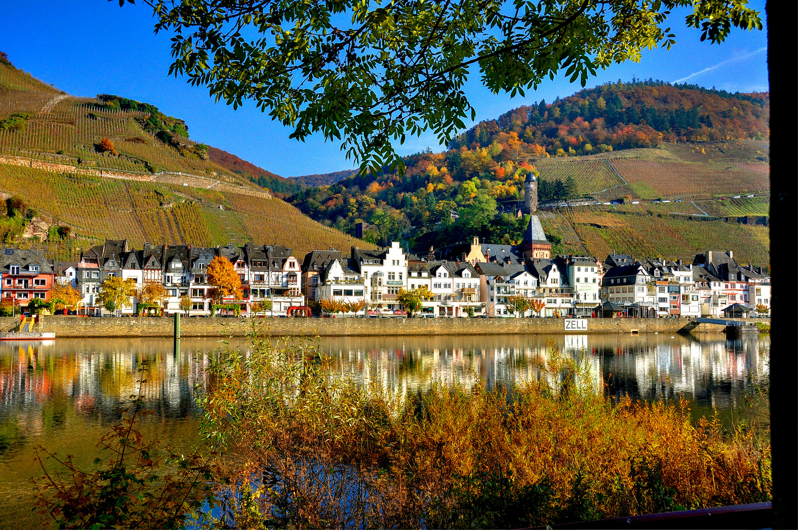 Zell Mosel im Herbst Foto & Bild | deutschland, europe, rheinland-pfalz ...