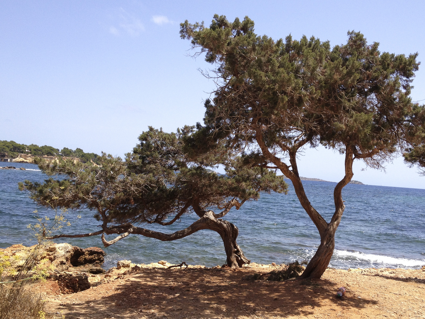 Zenitude photo et image | arbres, zenitude, espace Images fotocommunity