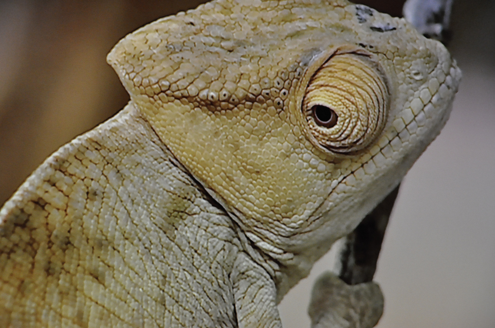 Zénitude à toutes et tous pour 2012 ........! photo et image ...