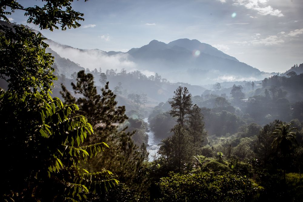 Zephyr River Lodge Foto & Bild | world, natur, landschaft Bilder auf ...