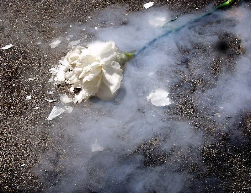 zerbrochen Foto & Bild | weltanschauung, specials, idee Bilder auf ...