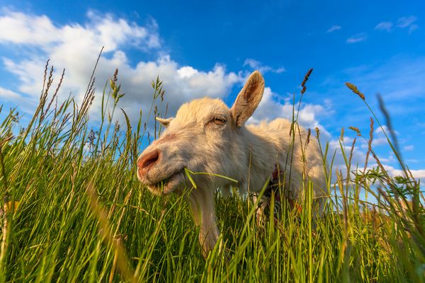 Manfred Winter - Fotos & Bilder - Fotograf | fotocommunity